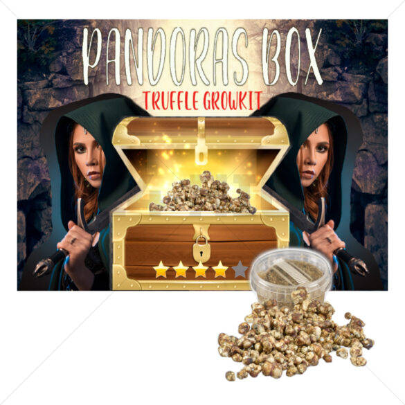 New Product: Grow Your Own Truffles with Pandora's Magic Truffle Grow ...