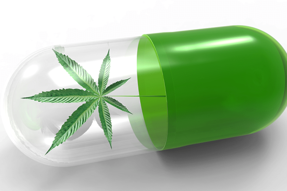 ¿Para qué sirve el aceite de CBD? Respuestas a tus preguntas. – Drugs ...