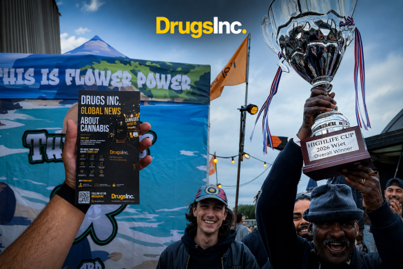 7 sababood oo saliidda xashiishadda ay aad caan u tahay! – Drugs Inc.eu