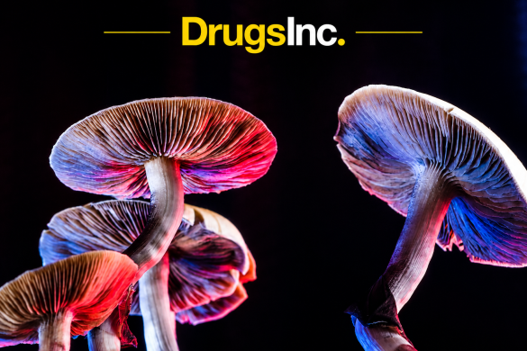 Kanapės nuo galvos skausmo: THC arba CBD, kurie mažina skausmą – „Drugs ...